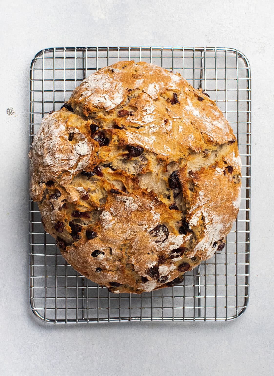 Crusty Cranberry Pecan Bread (No Kneading)